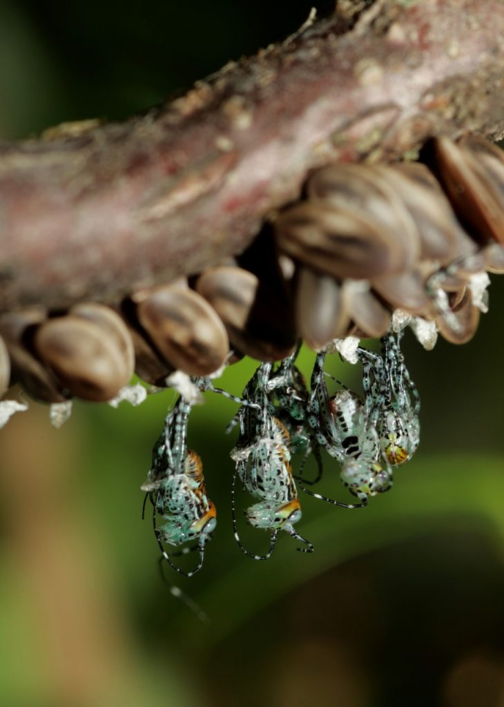 Sparsholt staff highly commended in BIAZA photography competition ...